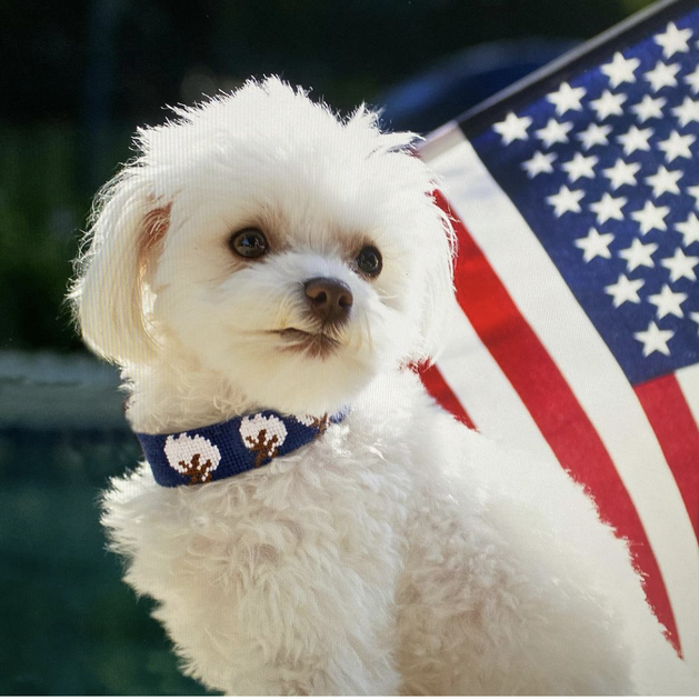 Mini Dog Collars – Asher Riley