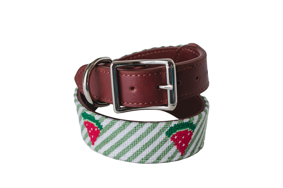 Watermelon Needlepoint Dog Collar – Asher Riley